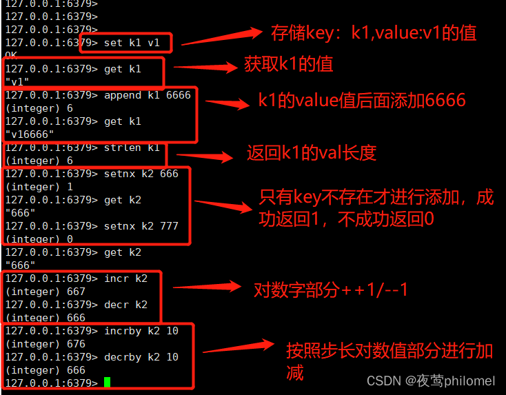 Redis基本类型及其使用命令 Redis基础类型批处理命令有哪些 Csdn博客