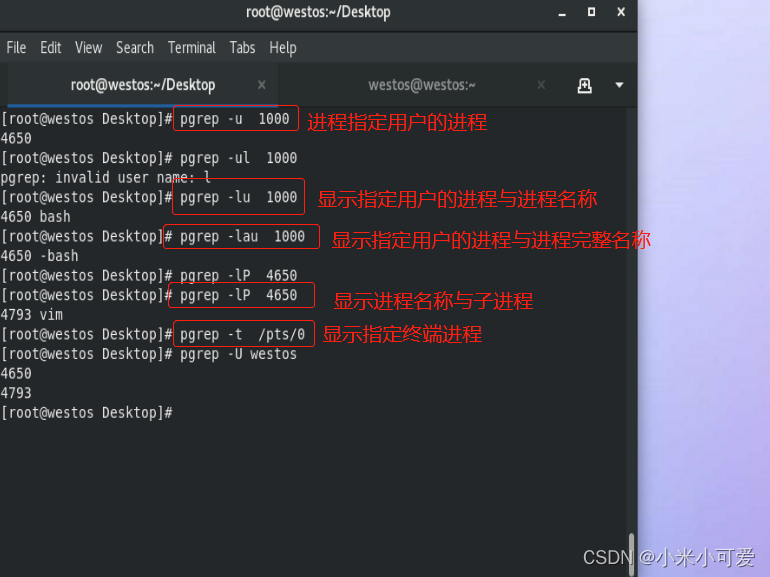 Linux中的进程管理linux进程管理 Csdn博客