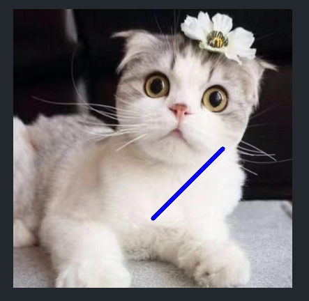 Opencv中circle(),line(),cv2.rectangle(),cv2.putText()_cv2.circle-CSDN博客