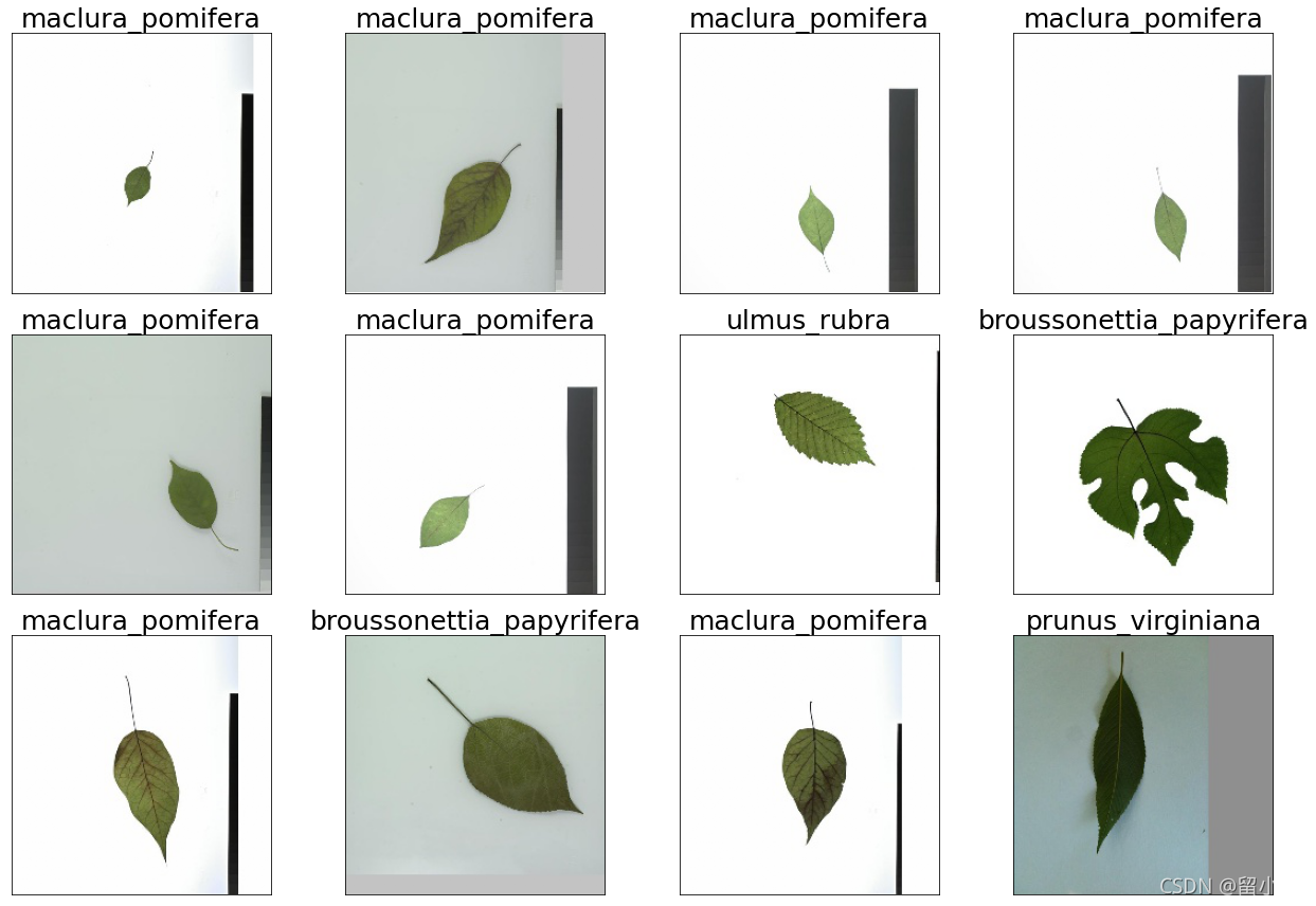 玩转kaggle:classify Leaves(叶子分类)——数据分析篇kaggle树叶分类 Csdn博客