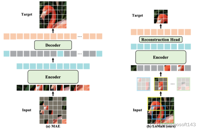 LoMaR_loma level 1 csdn-CSDN博客