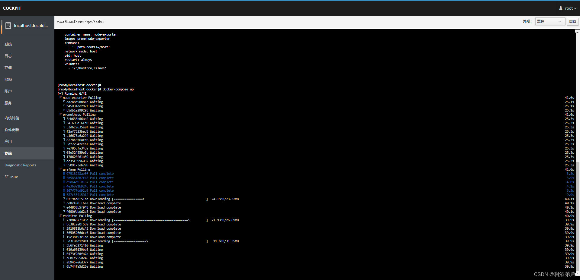 麒麟服务器操作系统安装Docker + prometheus + grafana_docker prometheus grafana kylin10-CSDN博客