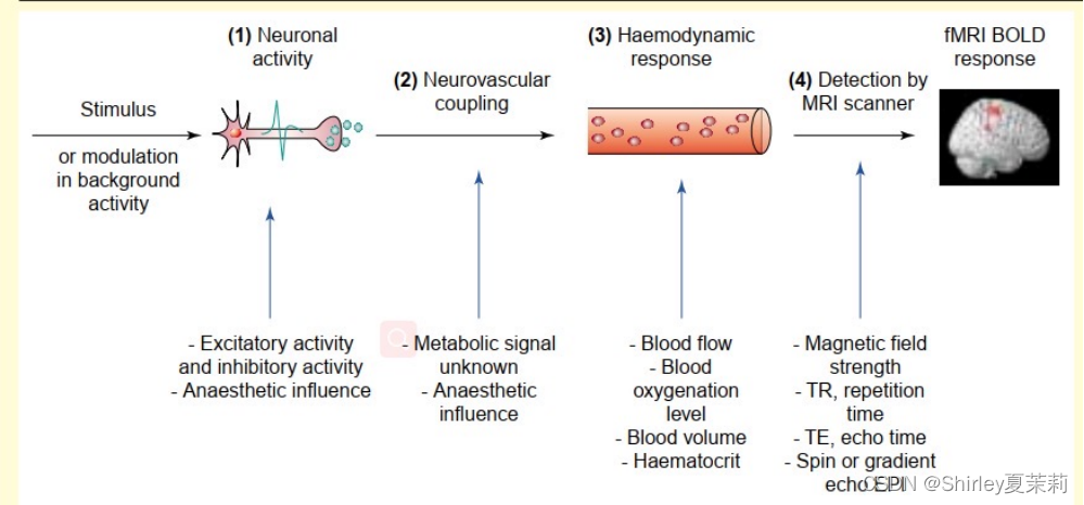 Handbook of Functional MRI Data Analysis[手册中文笔记]第一期：introduction-CSDN博客