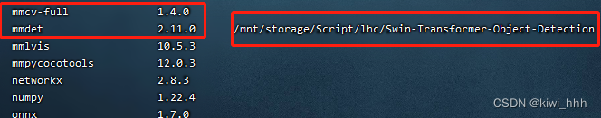 Linux系统下搭建Swin Transformer目标检测环境_swin transformer linux系统安装-CSDN博客