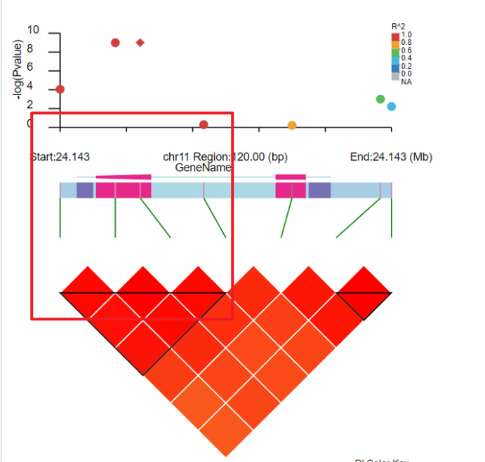 使用bedtools进行gwas基因注释_如何研究没有注释的基因-CSDN博客