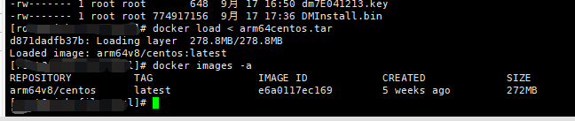 Linux（arm64）Docker安装达梦数据库_达蒙数据库,arm镜像-CSDN博客
