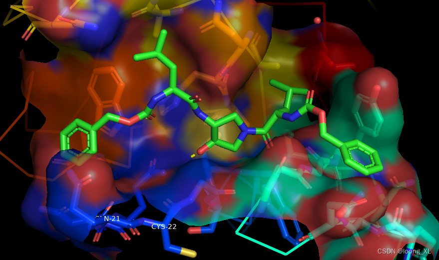 pymol 分离蛋白与小分子保存；pymol分离蛋白多聚体亚基；pymol对接位点交互图展示；去除杂原子_pymol如何去除水分子_loong_XL的博客-CSDN博客