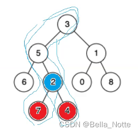 二叉树的公共祖先【C++】_二叉树公共祖先c++-CSDN博客