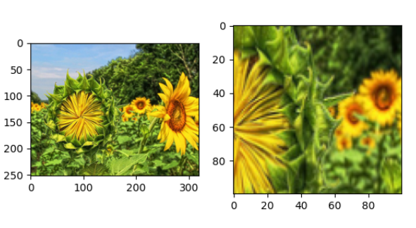 transforms中RandomResizedCrop、Resize、CenterCrop的理解_transforms ...