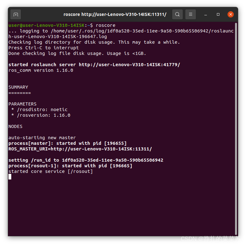 Could not find ROS master. Either start a ‘roscore‘ or abort loading the plugin._could not find ...