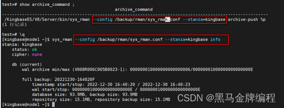 金仓数据库物理备份和还原_金仓数据库备份-CSDN博客