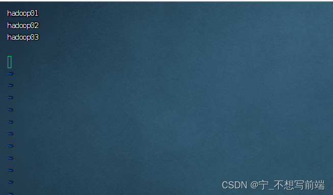 FinalShell 配置格式化启动Hadoop集群_怎么在finalshell 格式化-CSDN博客
