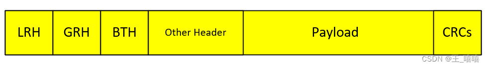 从零学习 InfiniBand-network架构（一） —— IB协议中常用术语及定义-CSDN博客