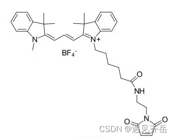 磺基-CY3-马来酰亚胺|Sulfo CY3-马来酰亚胺|花菁染料CY3标记马来酰亚胺|Cyanine3 Maleimide-CSDN博客