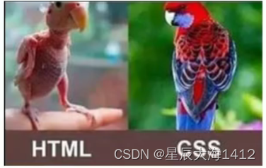 CSS pink老师教学笔记详解_pink老师markdown笔记-CSDN博客