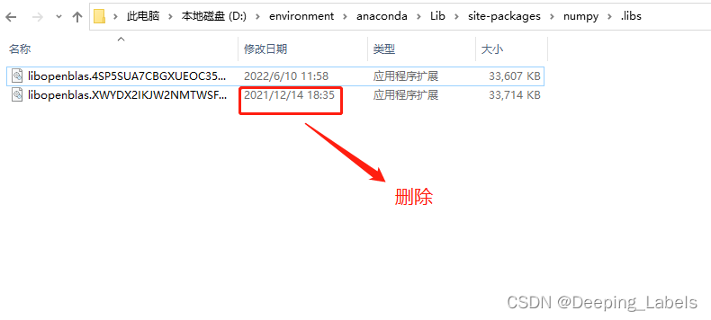 numpy 更新版本后 more than 1 DLL from .libs警告_warnings.warn("loaded more than 1 dll from .libs:-CSDN博客