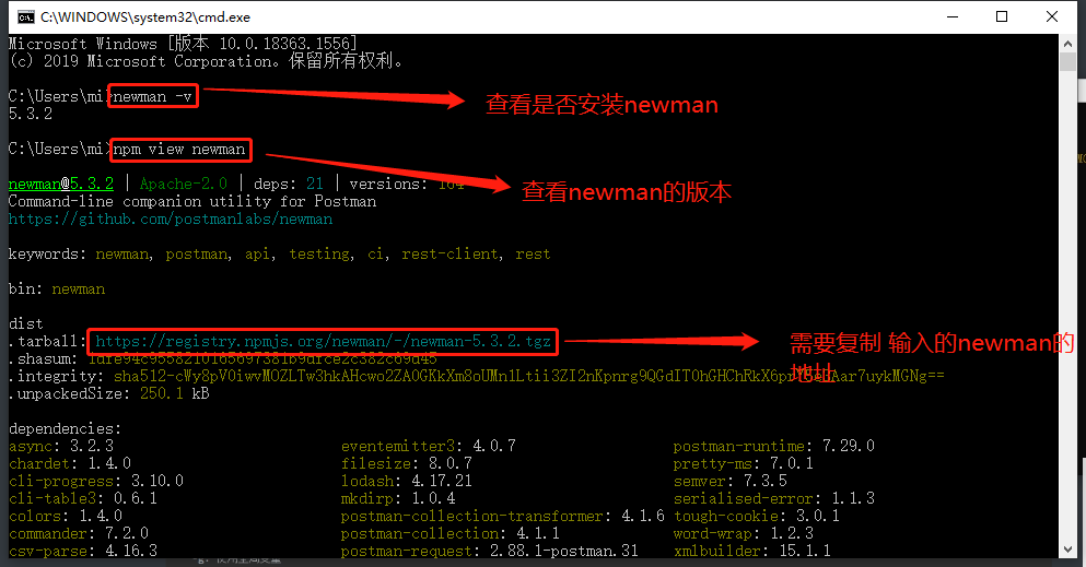 newman的安装_安装newman-CSDN博客