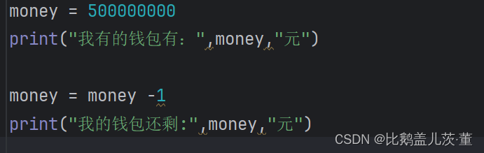 第二章 Python基础语法之变量和数据类型 Csdn博客
