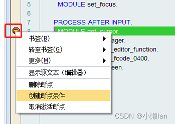DEBUG_sap sm58-CSDN博客