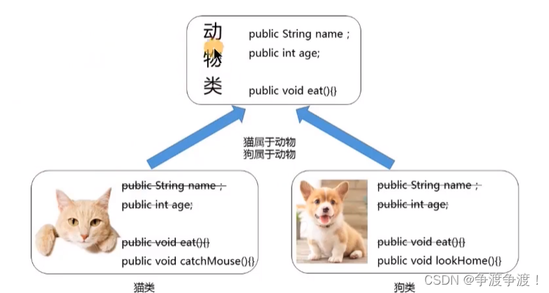 Java面向对象特征之二 继承性 2023 5 25 2023java面向对象 Csdn博客