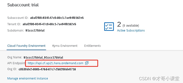 SAP BTP-Cloud foundry 构建并部署JAVA应用程序_sap btp 集成 java-CSDN博客