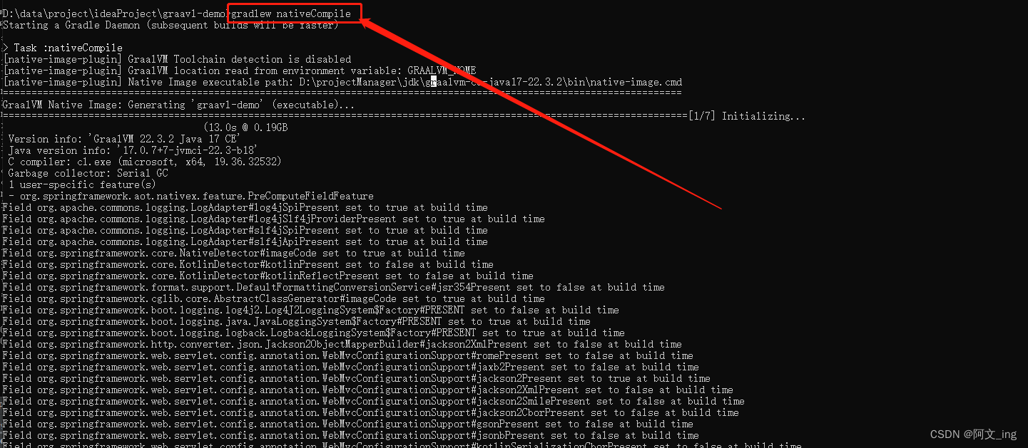Idea使用native Image打包springboot项目 Csdn博客