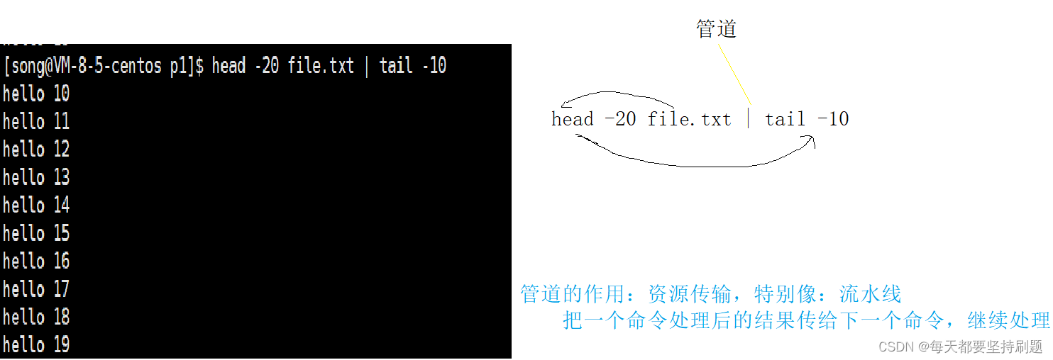【linux操作系统】理论知识和常用指令(二) Microfrank Linux Csdn博客