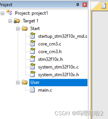 嵌入式学习——STM32_嵌入式学习 stm32-CSDN博客