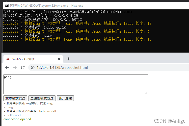 C实现websocket服务器:(03)消息收发的封装c Websocket 消息定义 Csdn博客