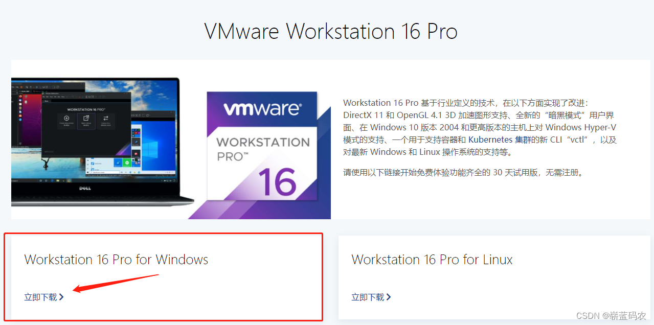[搭建开发环境]＜嵌入式＞安装VMware Workstation Pro_vmware workstation pro开发环境搭建-CSDN博客