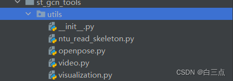 ST-GCN 自建kinetics数据集-CSDN博客