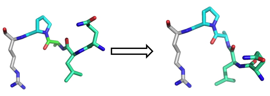 Rosetta Tutorial 13 ~ 14 翻译 | 主要为 Output Analyzing 及 FoldTree 部分_rosetta 共价-CSDN博客