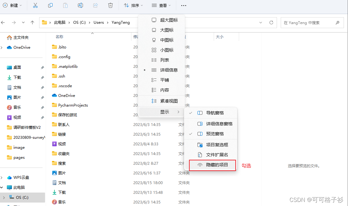 AppData文件夹找不到-CSDN博客
