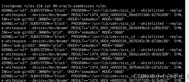 ASM+udev+oracle11gR2+rhel7——2.udev配置磁盘_oracle udev和asm作用-CSDN博客