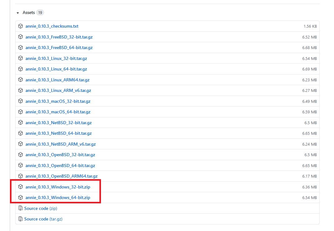 Github 上 annie 下载神器的安装及使用教程_annie download-CSDN博客