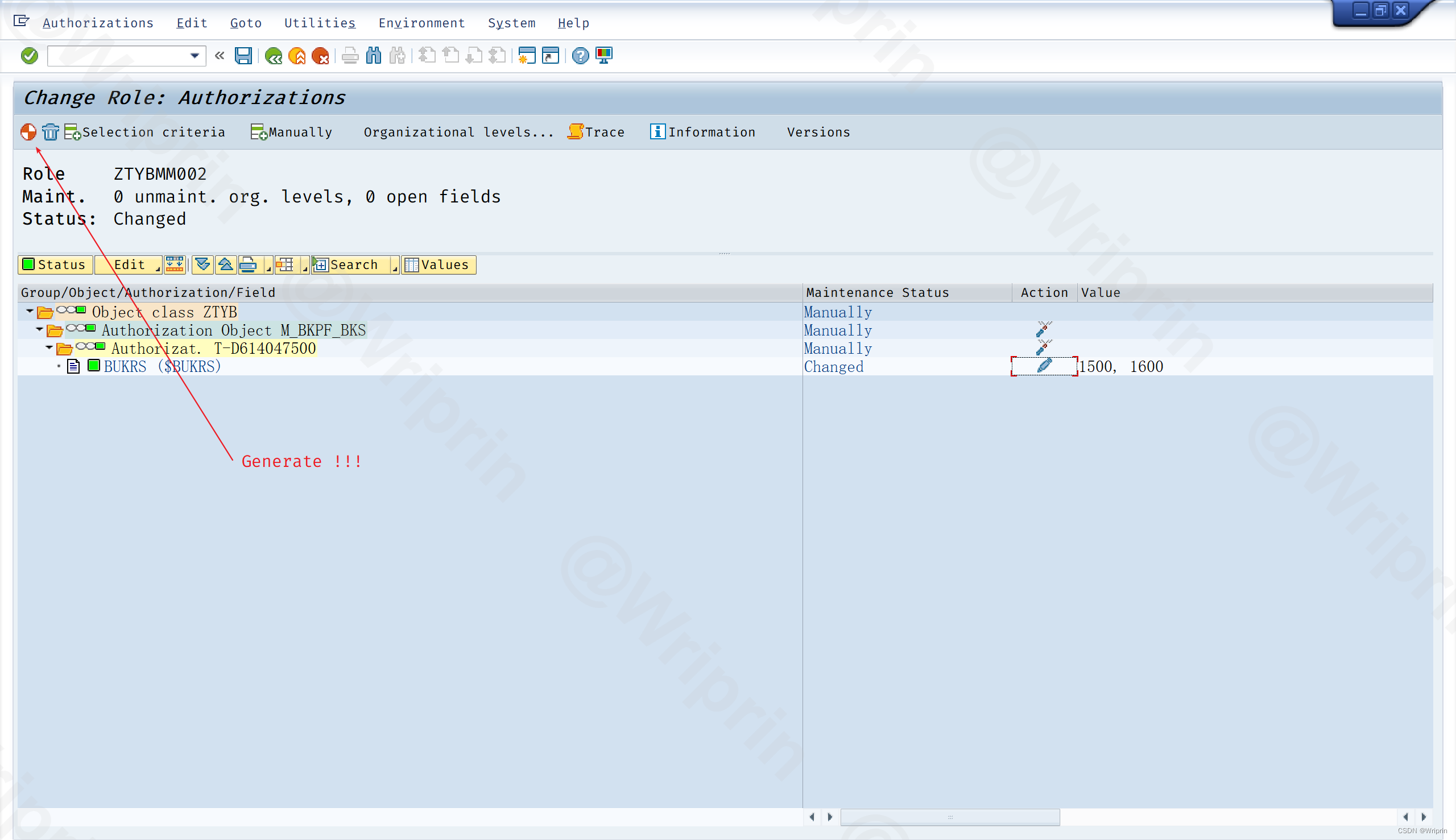 SAP 权限分配 & 审核「实例」_se38 调权限-CSDN博客