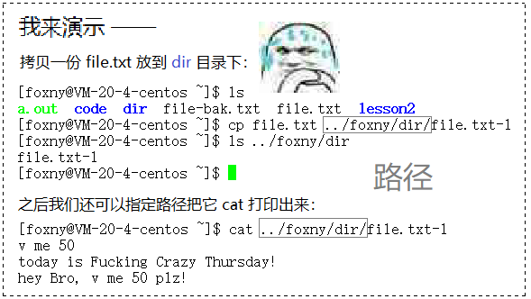 【看表情包学Linux】(3) man 手册 | 复制文件或目录 | 移动文件和重命名操作 | 查看目标文件内容_linux如何将选定man ...