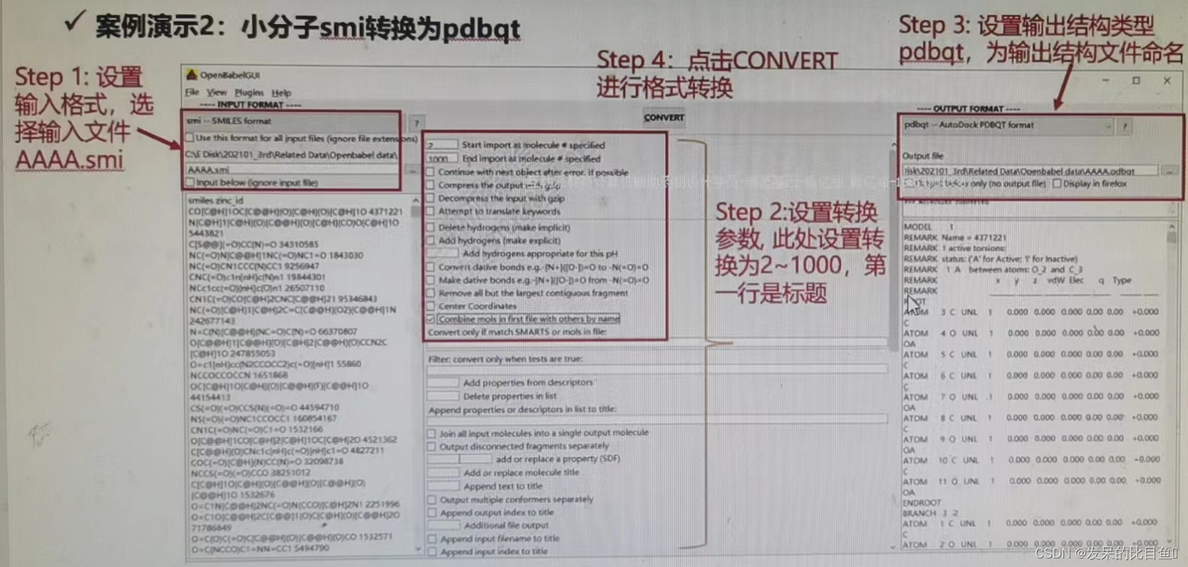 CADD课程学习（9）-- 不同类型分子结构转换(Open Babel)_sdf转化为pdb文件-CSDN博客