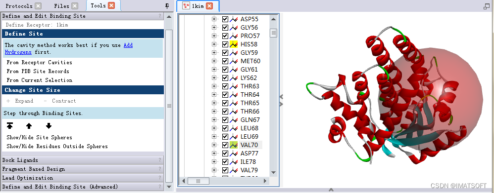 Discovery Studio（Help-Tutorials） 定义蛋白活性位点以进行分子对接_discovery studido 识别不出来结合位点site-CSDN博客