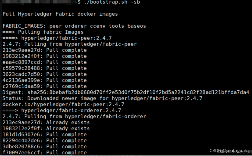 3.安装fabric 二进制源码程序_fabric 二进制文件下载-CSDN博客