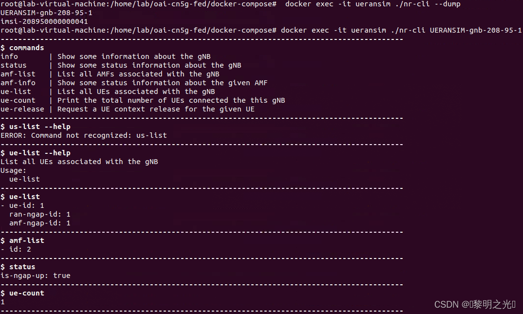 UERANSIM容器使用教程_ueransim 的 nr-cli-CSDN博客
