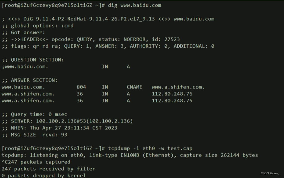 实验5 DNS协议分析与测量_cwn_的博客-CSDN博客