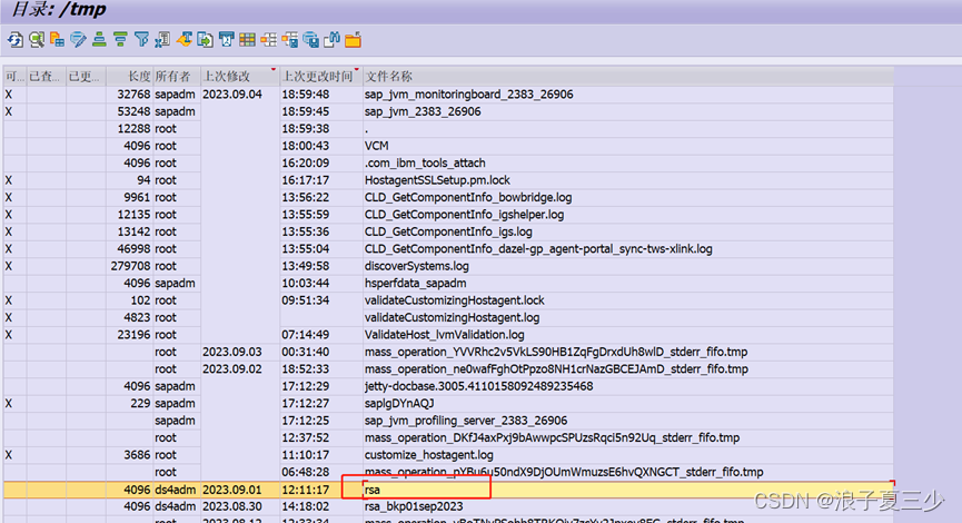 ABAP 实现RSA签名_abap + rsa-CSDN博客