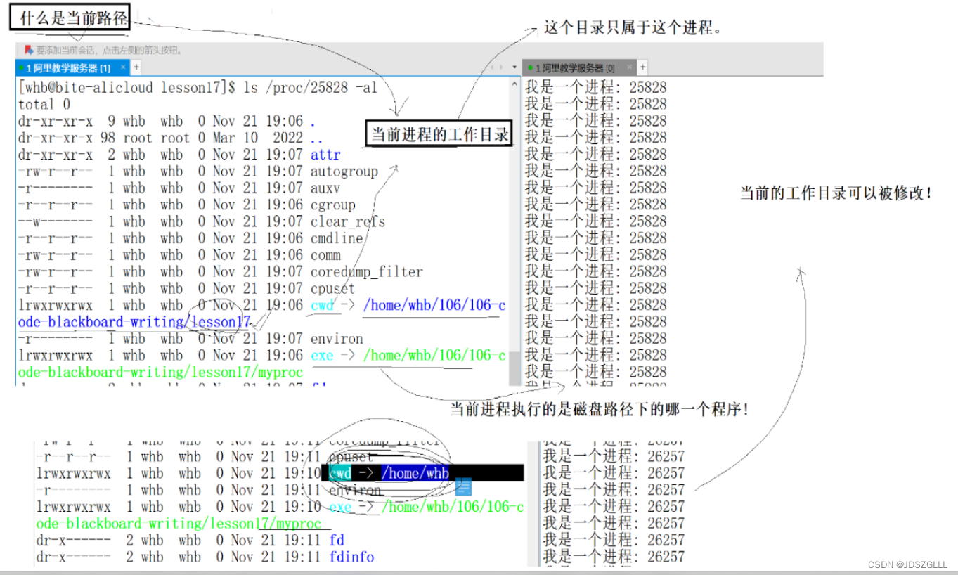 模拟实现一个简单的命令行解释器(shell)shell Mian Csdn博客