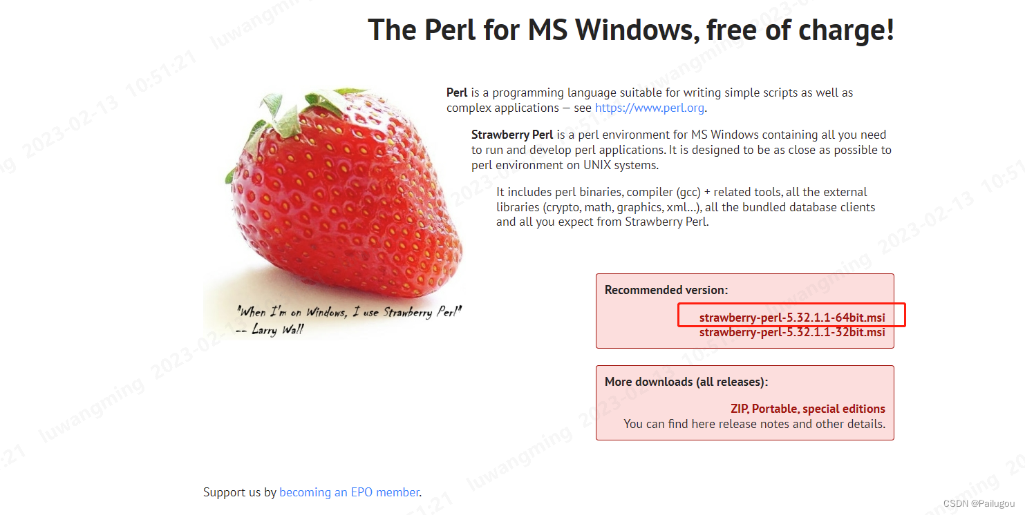 ‘perl‘ 不是内部或外部命令，也不是可运行的程序perl 不是内部或外部命令也不是可运行的程序 Csdn博客 
