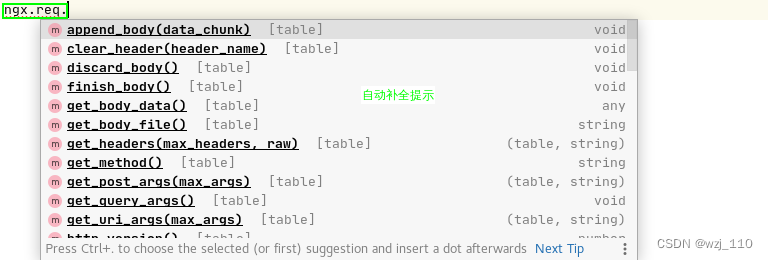 Openresty实战篇(二)IDEA搭建OpenResty开发环境_openresty的api导入idea-CSDN博客