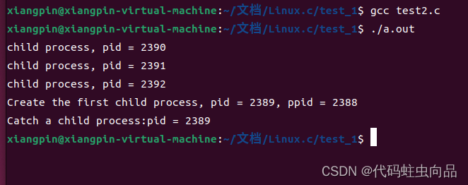 进程同步：wait()和waitpid()函数_怎样将wait函数替换成waitpid-CSDN博客