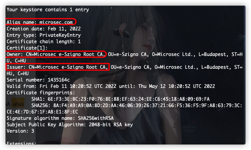 【渗透测试】CS DNS上线（DoH隧道+CS特征隐藏）-CSDN博客